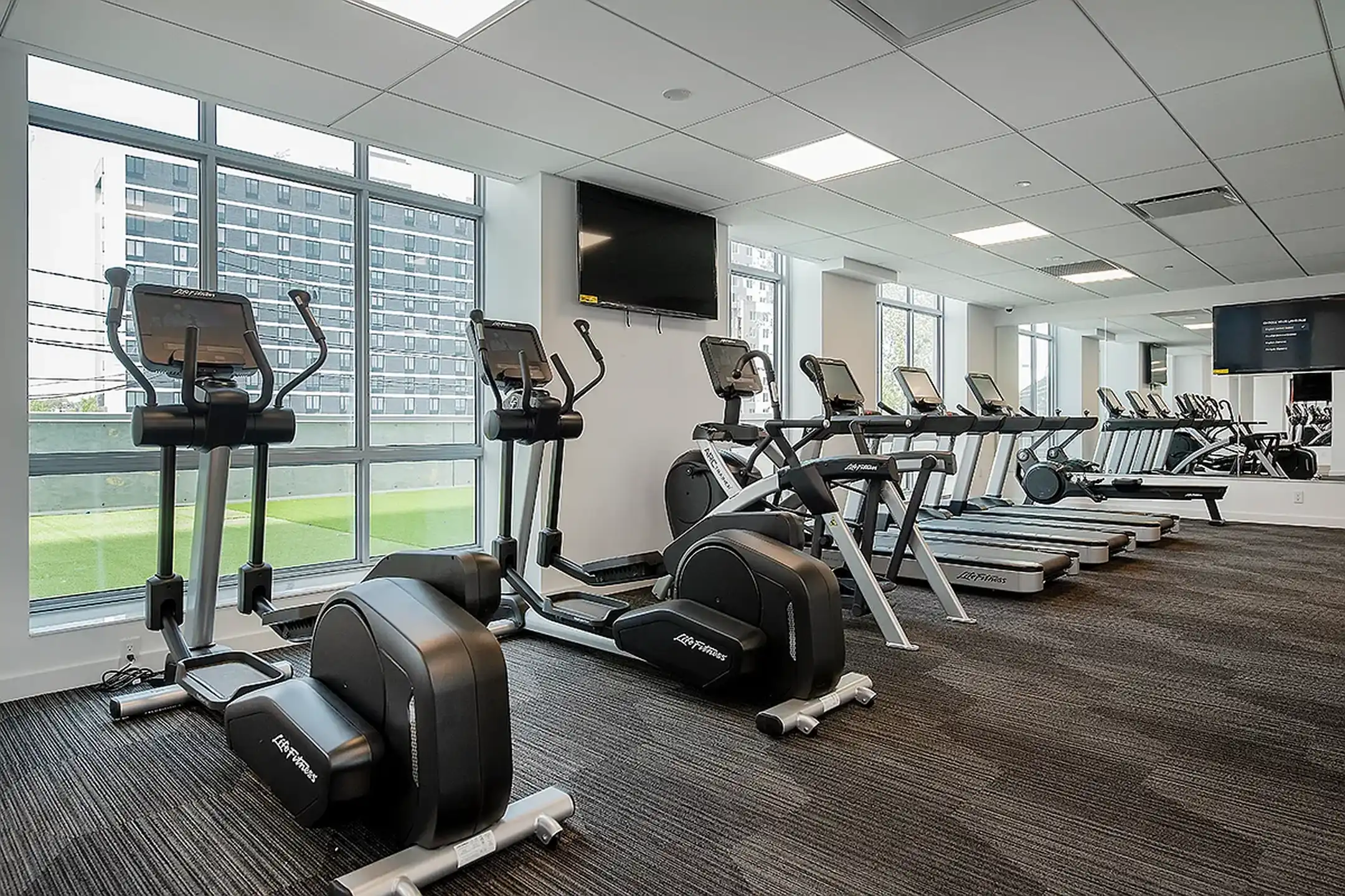 Alvista Rise - Jamaica, NY 11435 | ApartmentGuide.com