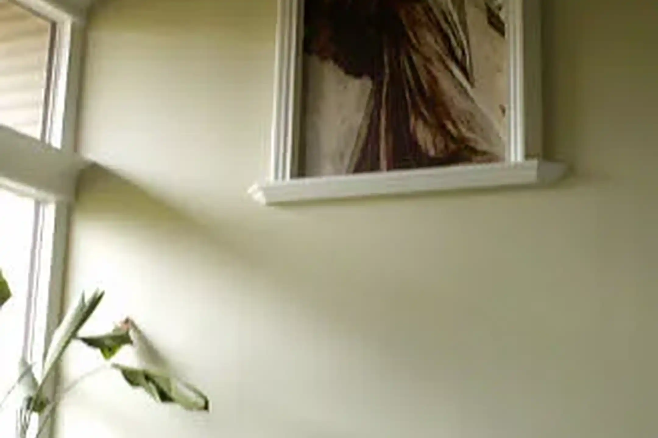 Gaslight Apartments - Saratoga Springs, NY 12866 | ApartmentGuide.com