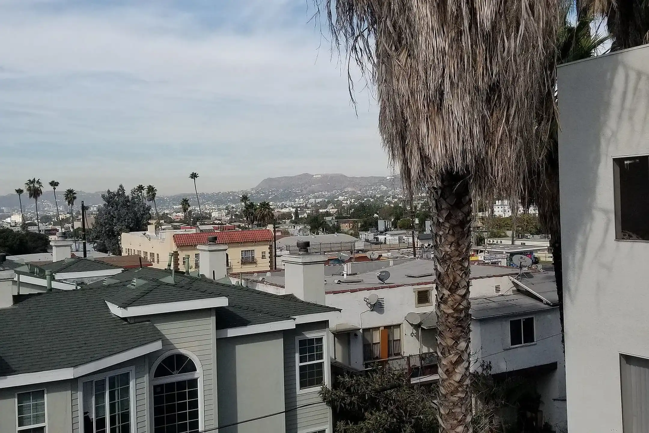 The Collective - Los Angeles, CA 90057 | ApartmentGuide.com