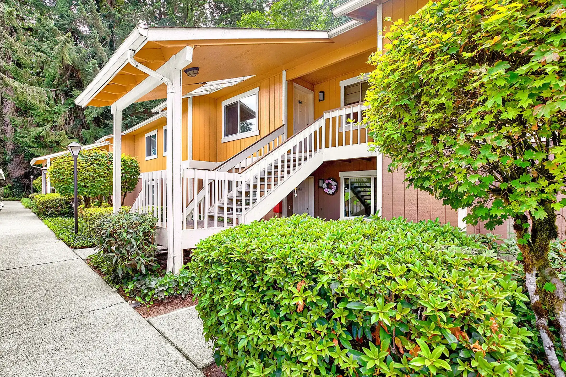 Forest Grove Apartments - Lacey, WA 98503 | ApartmentGuide.com