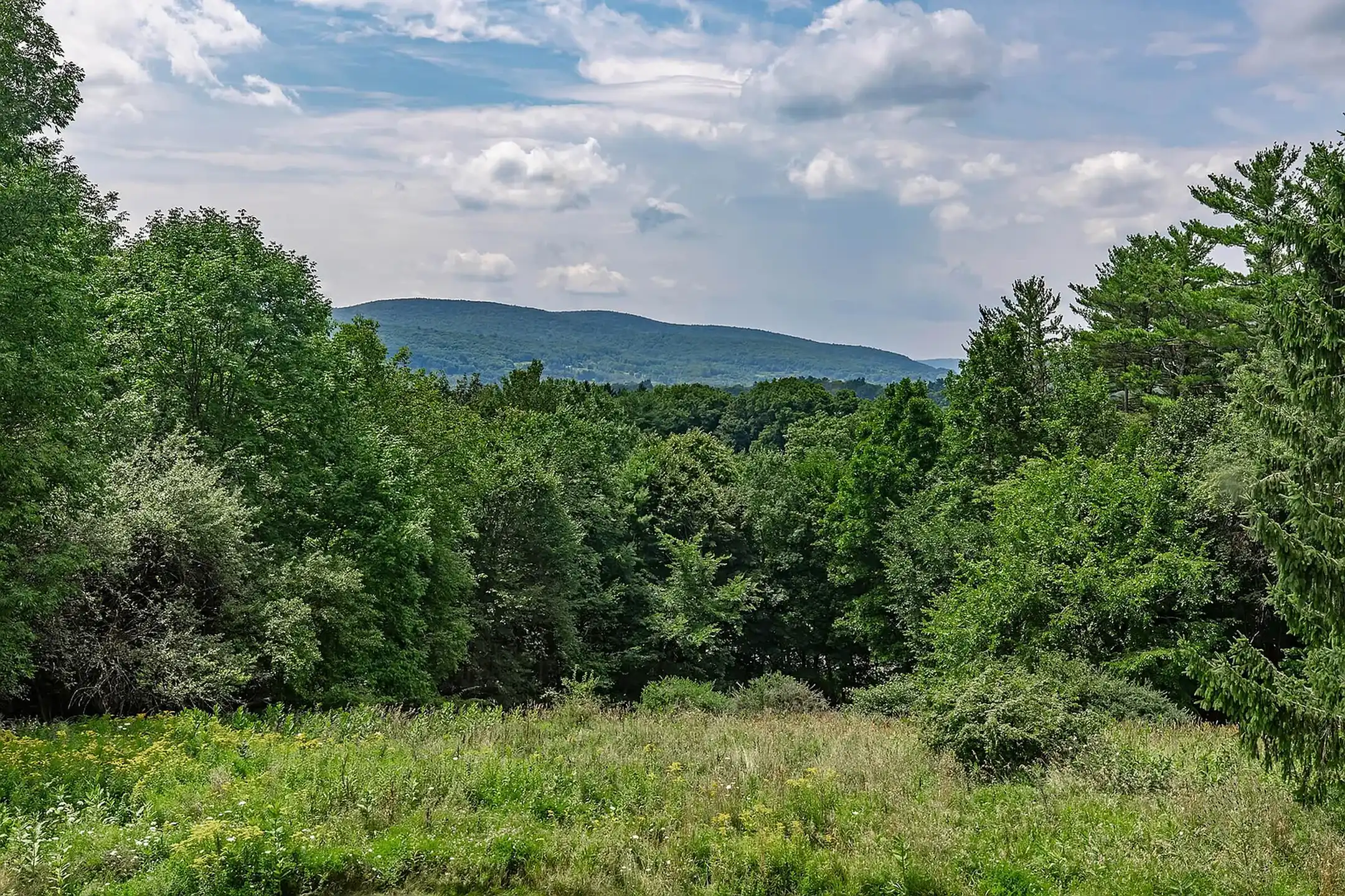 Wilber Park Apartments - Oneonta, NY 13820 | ApartmentGuide.com