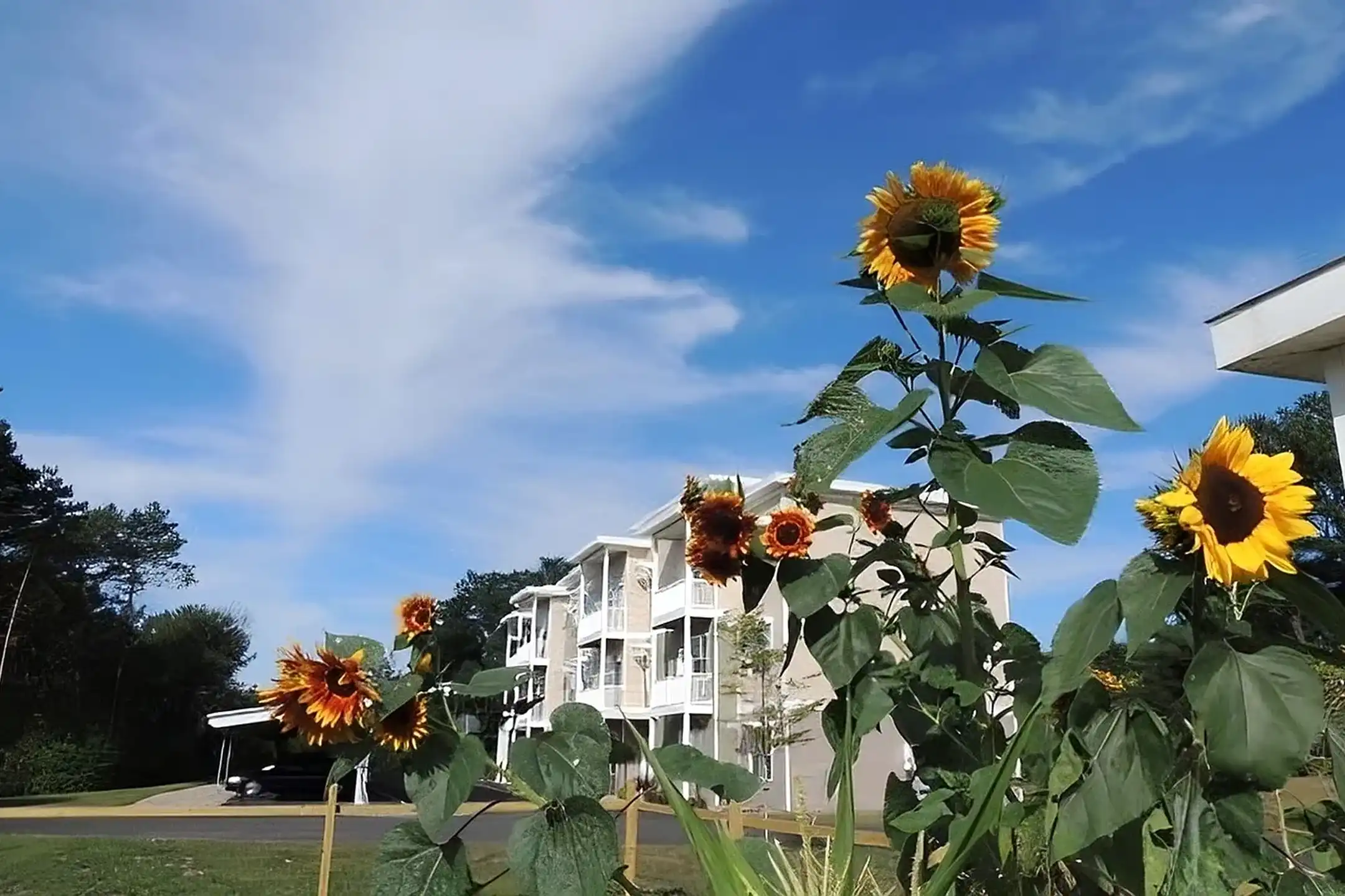 NetZero Village - Rotterdam, NY 12306 | ApartmentGuide.com
