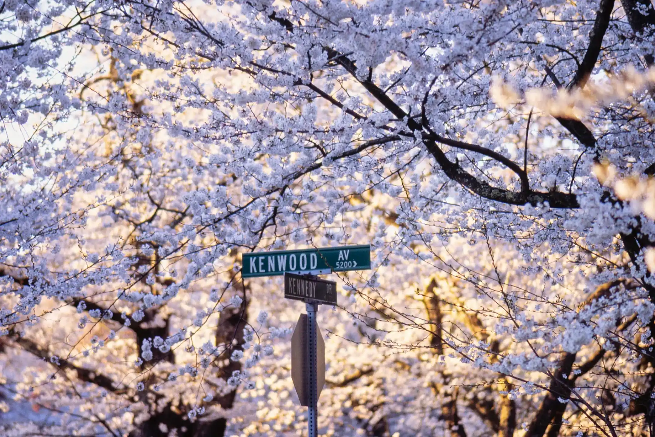 The Astrid - Bethesda, MD 20814 | ApartmentGuide.com