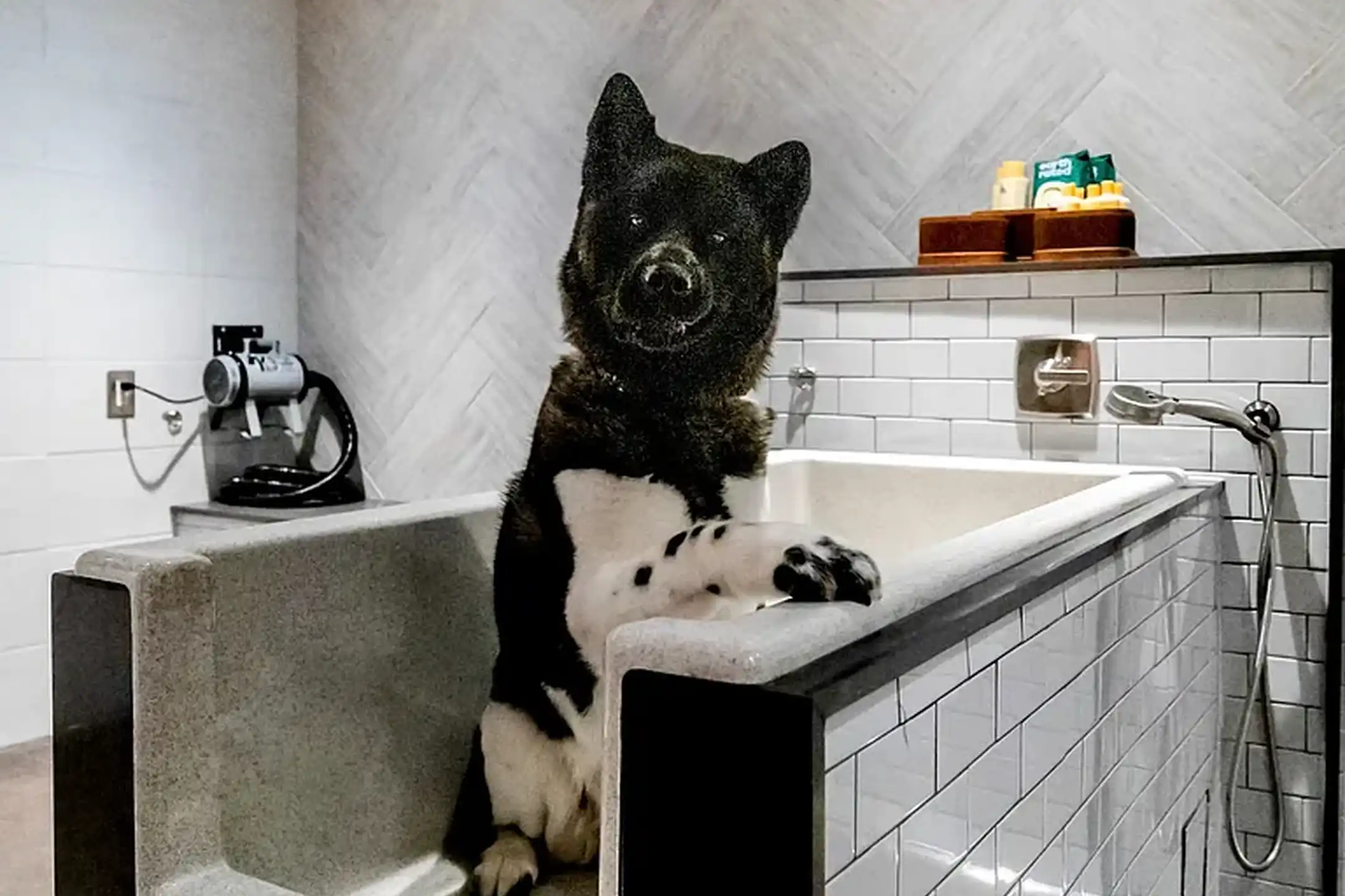 Hanover Midtown - Atlanta, GA 30309 | ApartmentGuide.com