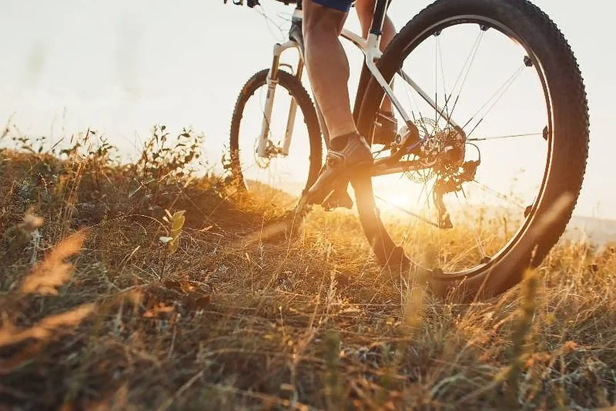 Sabo Village - Houston, TX 77089 | ApartmentGuide.com