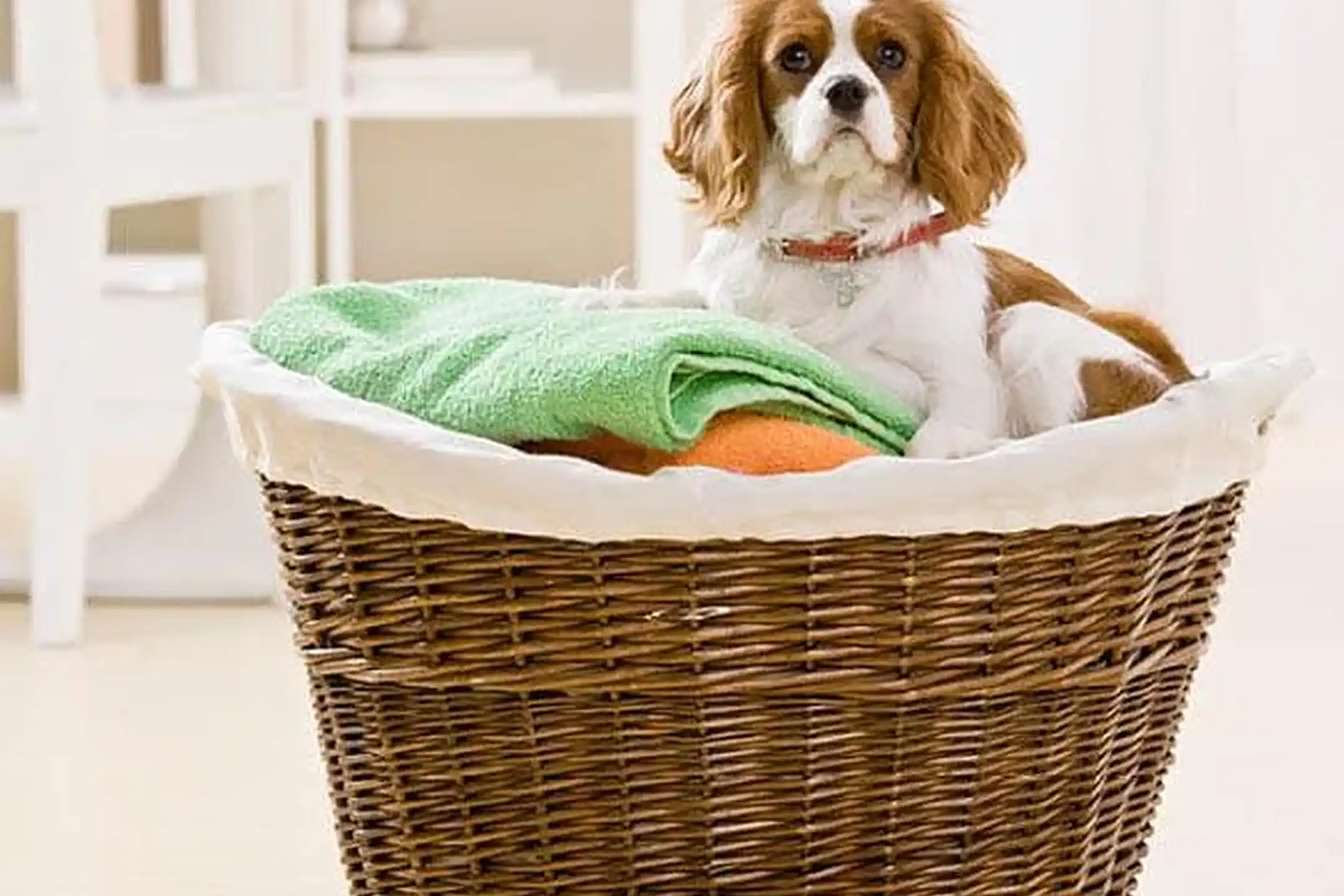 Hidden Valley Club - Ann Arbor, MI 48104 | ApartmentGuide.com