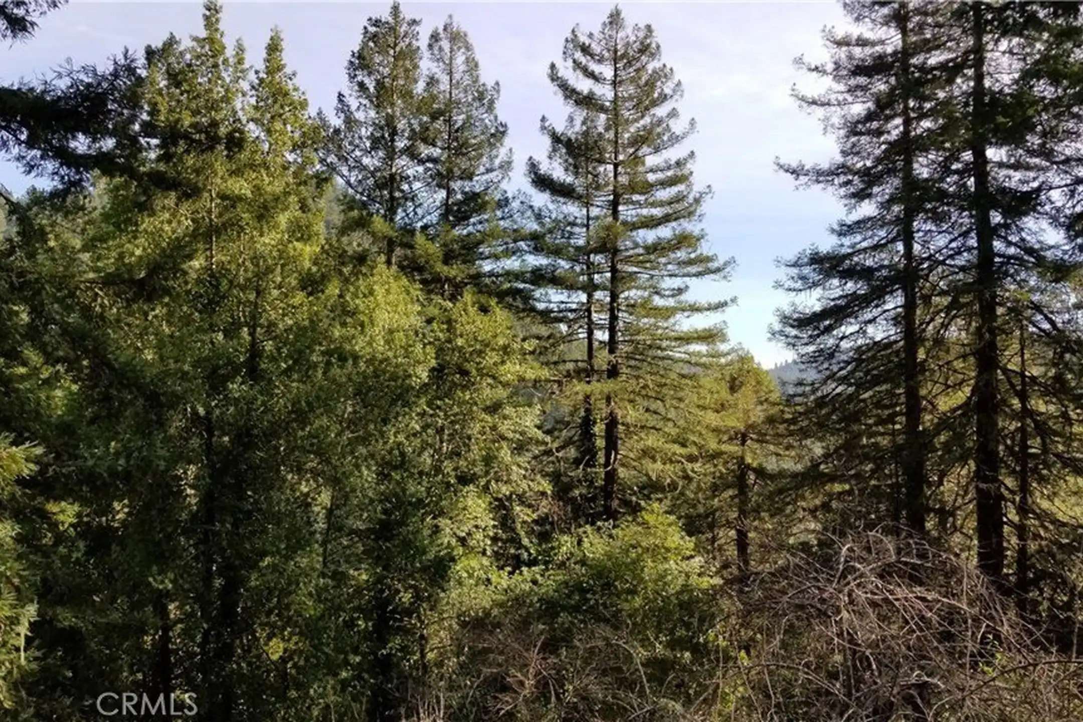 21455 Delta Way #2 - Monte Rio, CA 95462 | ApartmentGuide.com