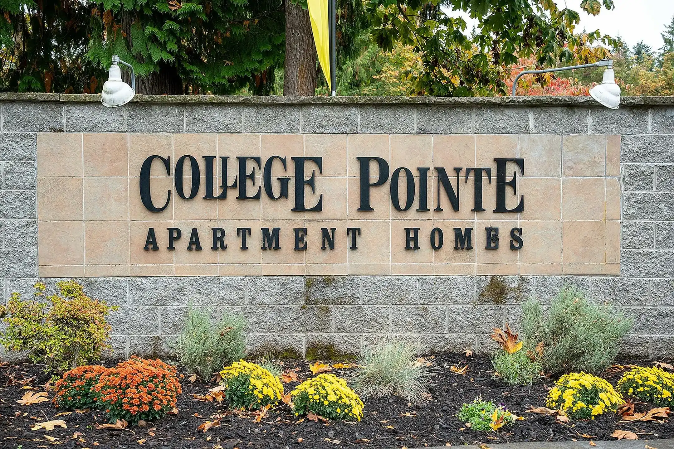 College Pointe Apartments - Lacey, WA 98503 | ApartmentGuide.com