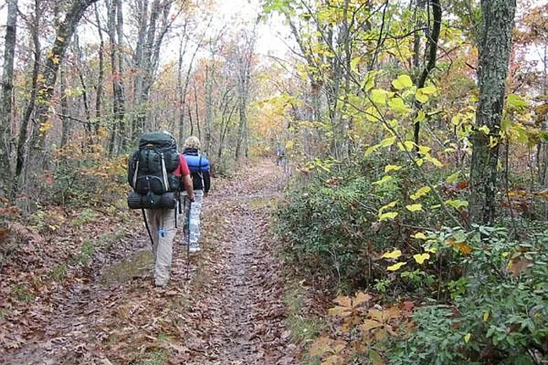 Monte Sano Terrace - Huntsville, AL 35801 | ApartmentGuide.com