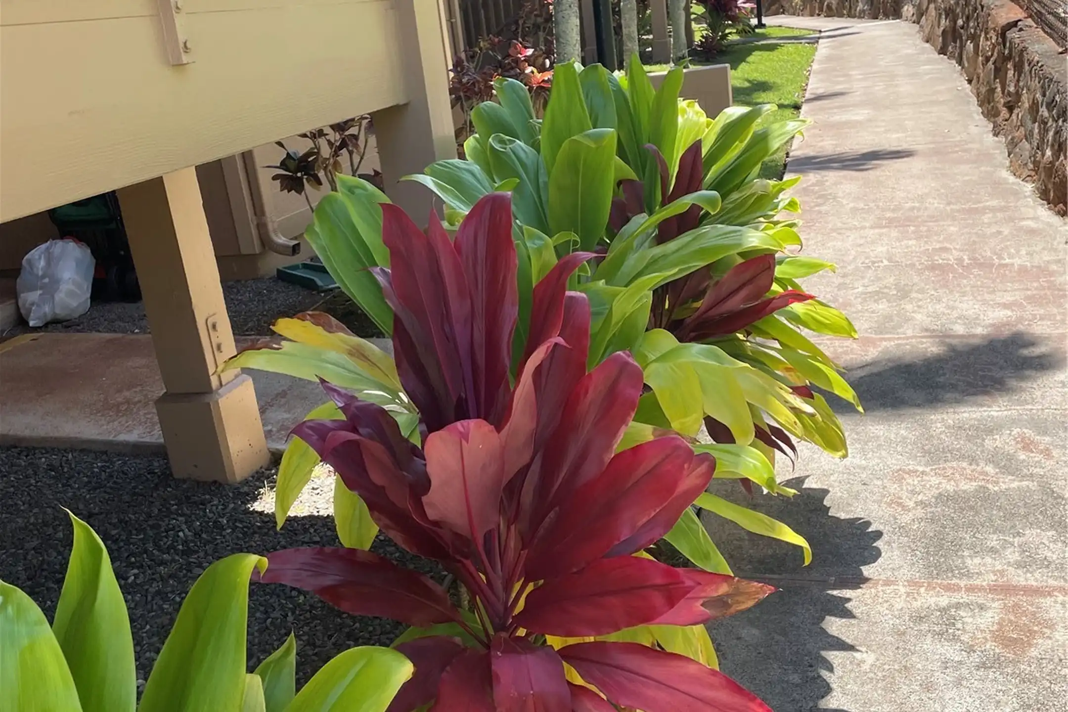 98-1379 Koaheahe Pl unit 33 - Pearl City, HI 96782 | ApartmentGuide.com