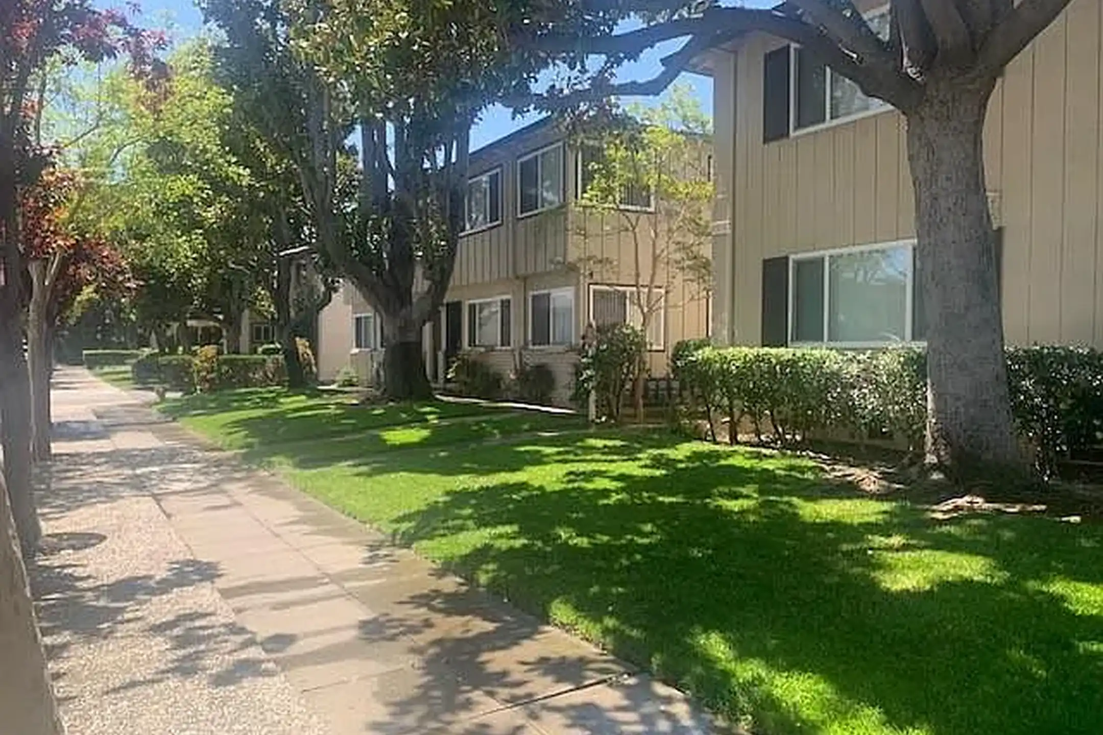Chiechi Village - San Jose, CA 95126 | ApartmentGuide.com