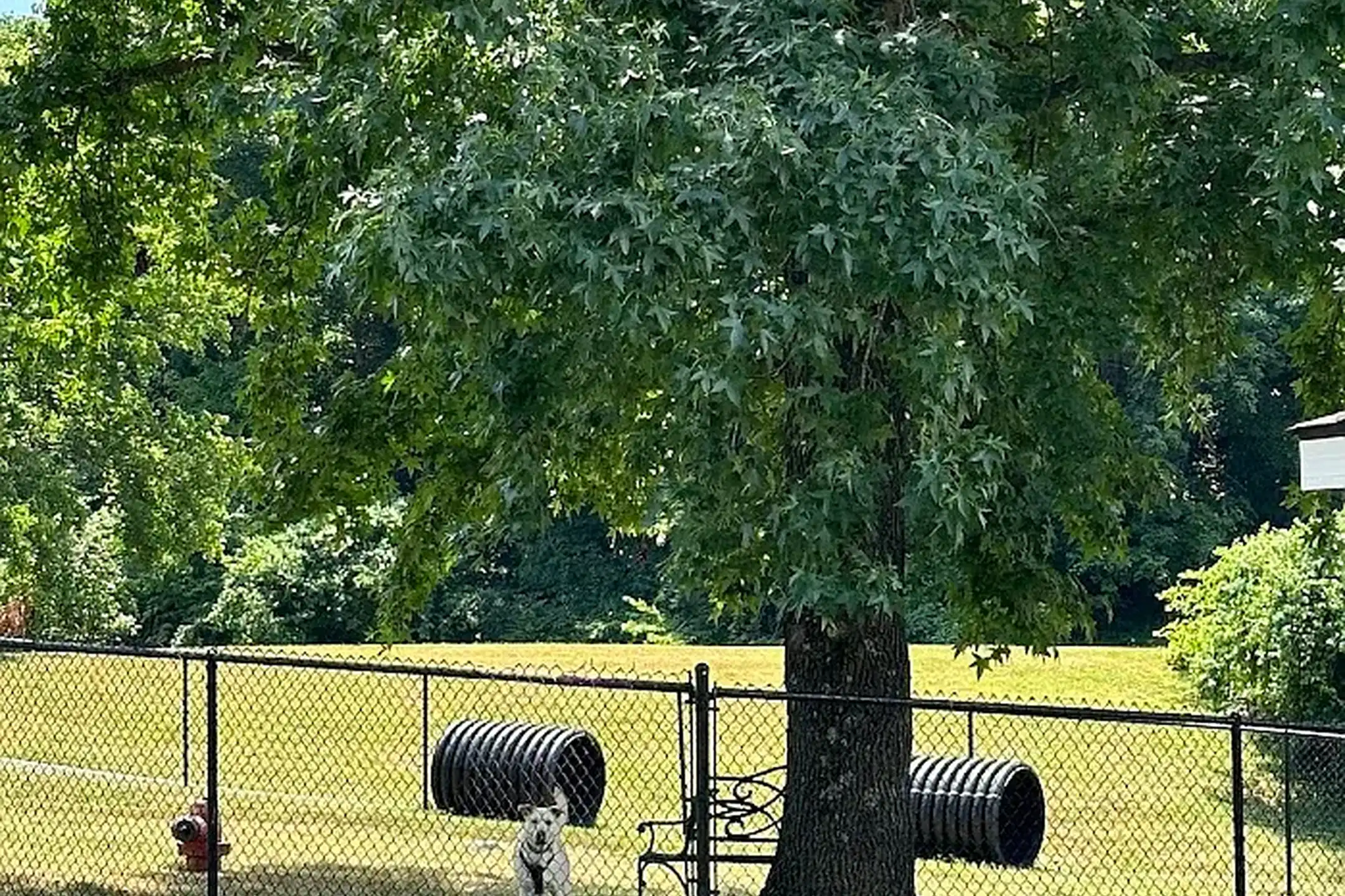 The Summit Apartments - Cane Ridge, TN 37013 | ApartmentGuide.com