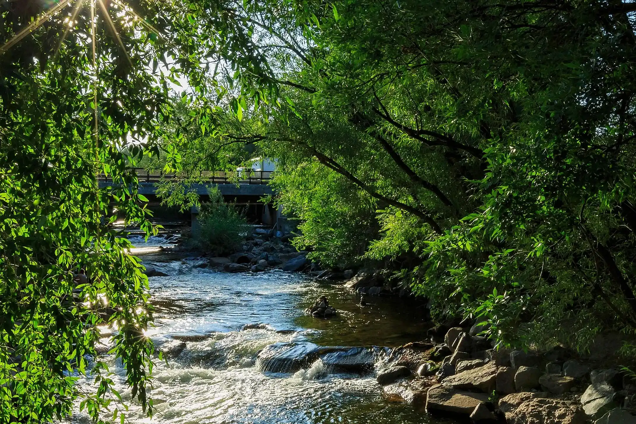 Creekside of Hamlin - Hamlin, NY 14464 | ApartmentGuide.com