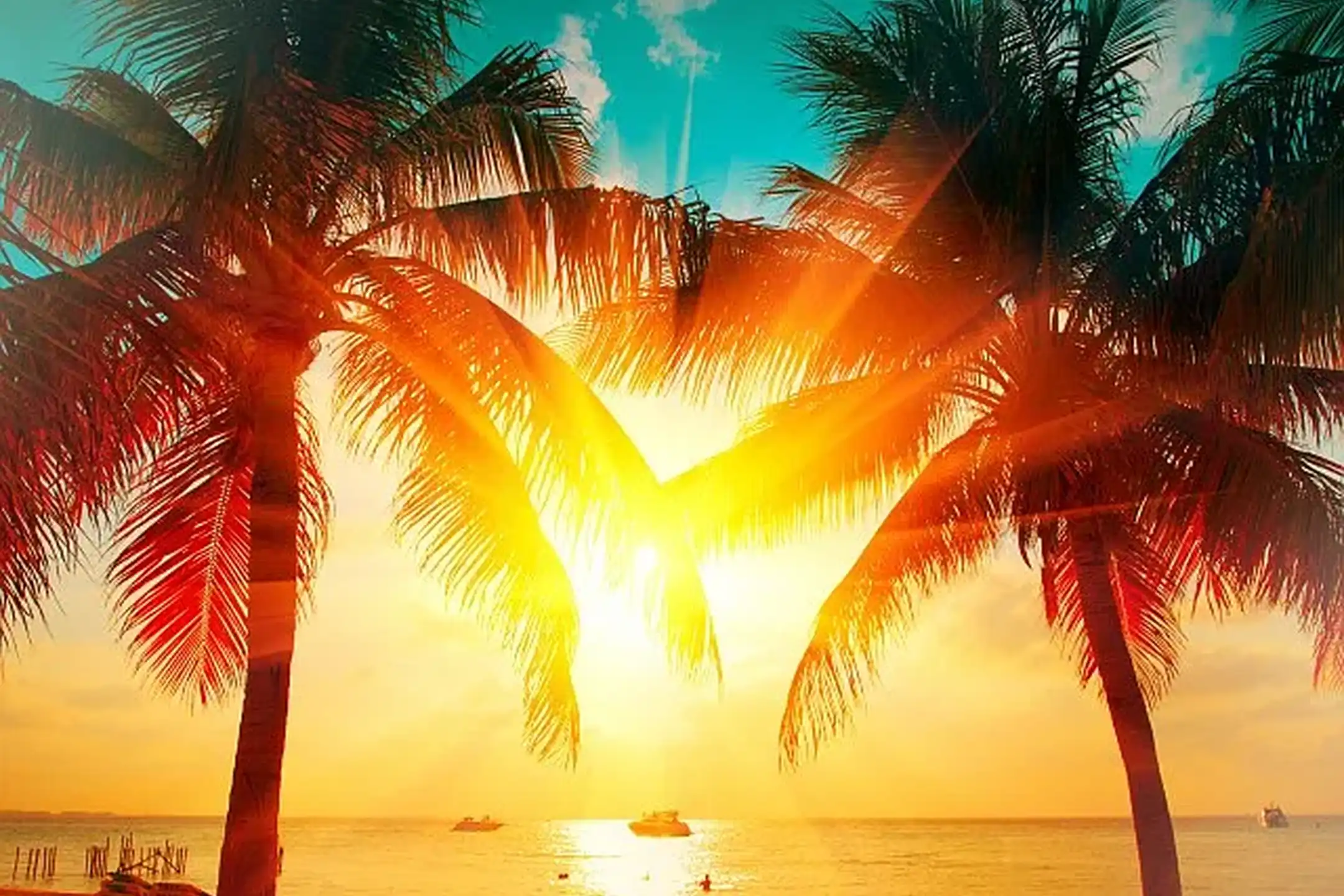 Avana on Pine - Long Beach, CA 90802 | ApartmentGuide.com