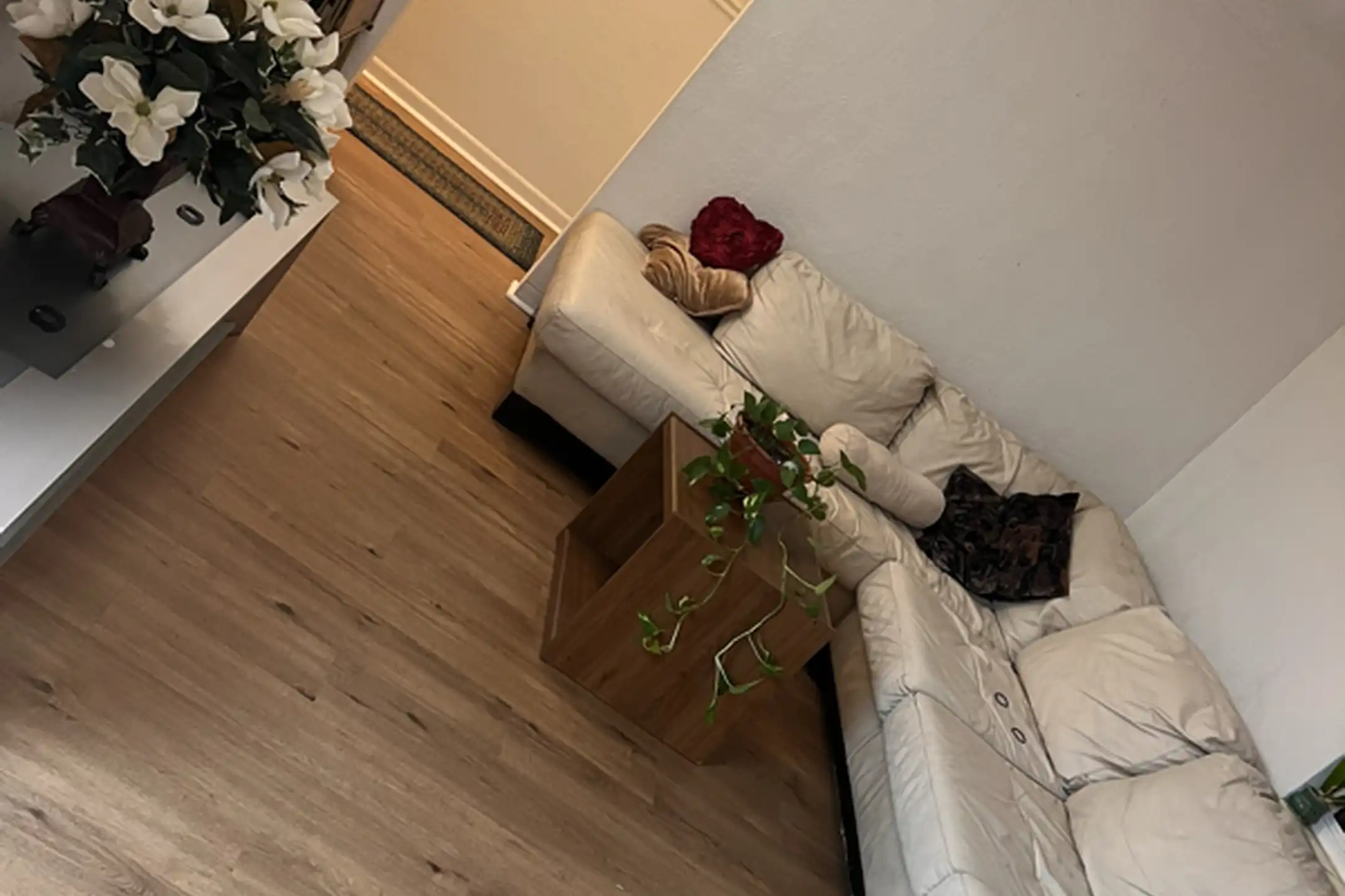 5016 62nd St N - Kenneth City, FL 33709 | ApartmentGuide.com