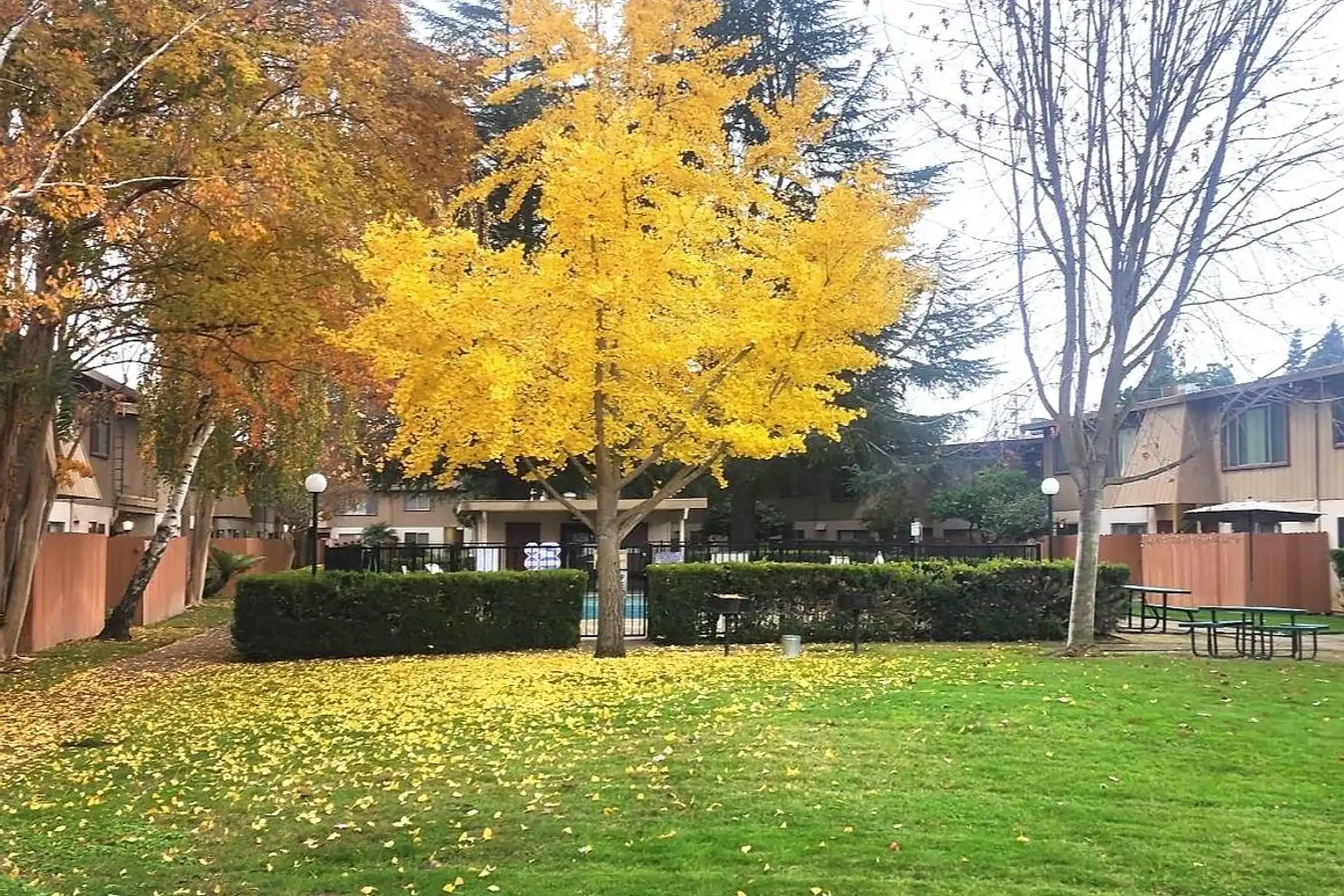 Howe Manor East Apartments - Sacramento, CA 95825 | ApartmentGuide.com