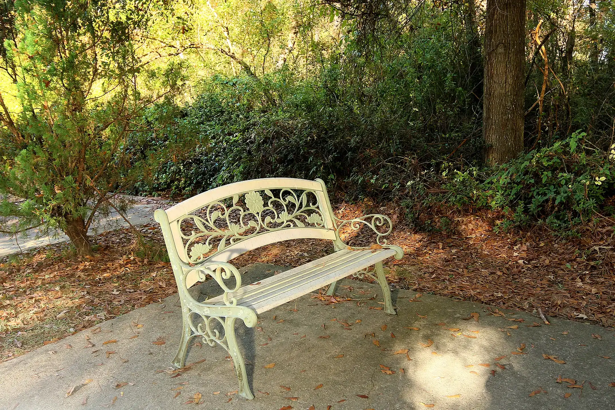 Timber Ridge - Mccomb, MS 39648 | ApartmentGuide.com