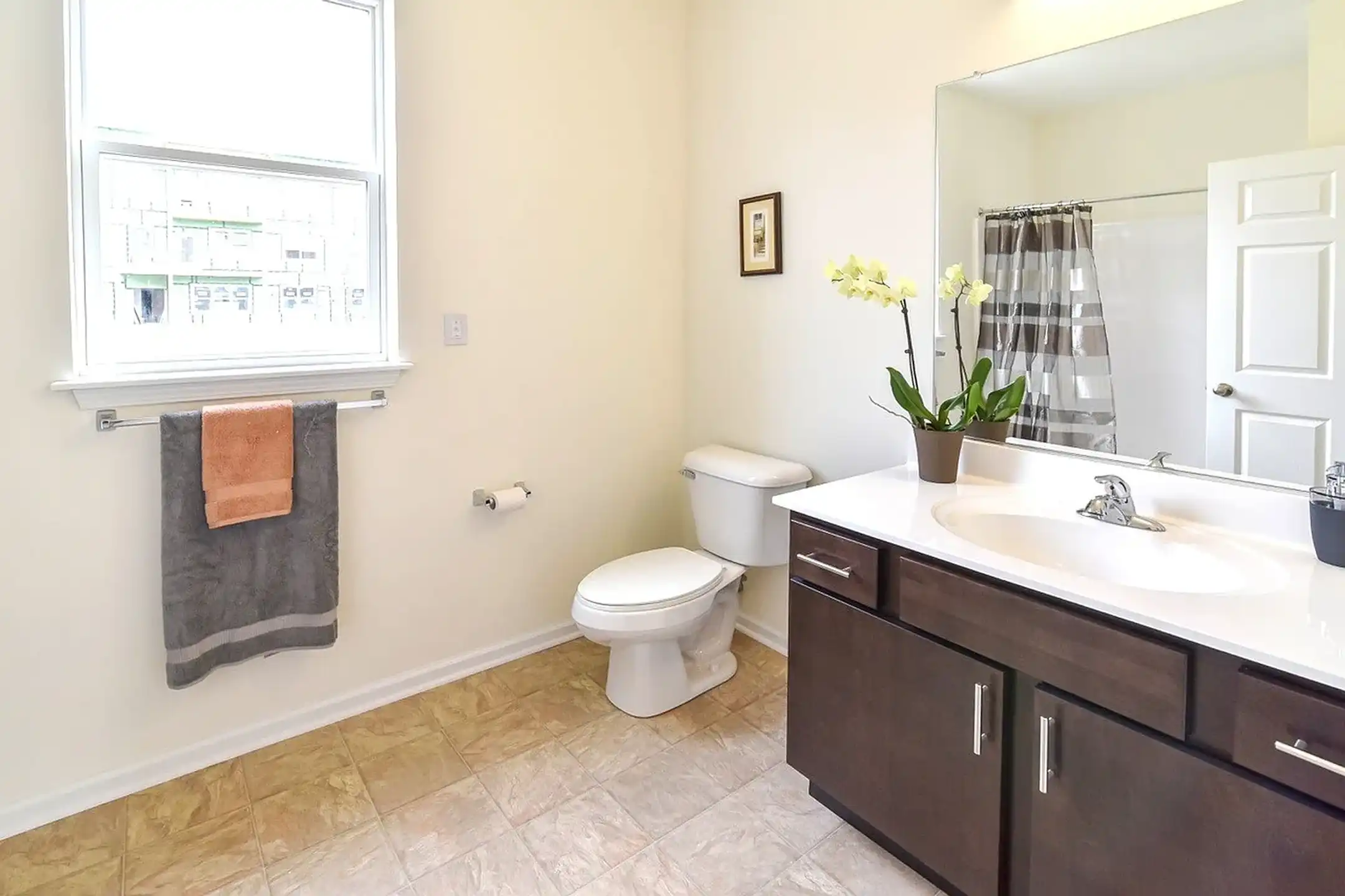 NetZero Village - Rotterdam, NY 12306 | ApartmentGuide.com