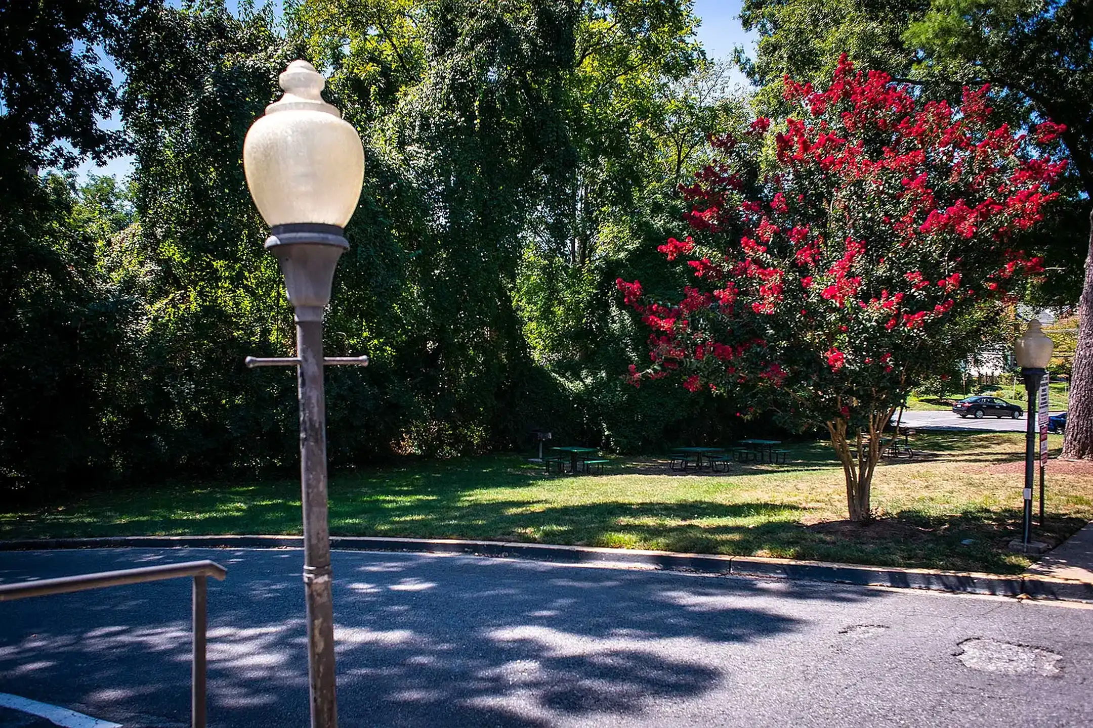 Silver Spring House - Silver Spring, MD 20910 | ApartmentGuide.com