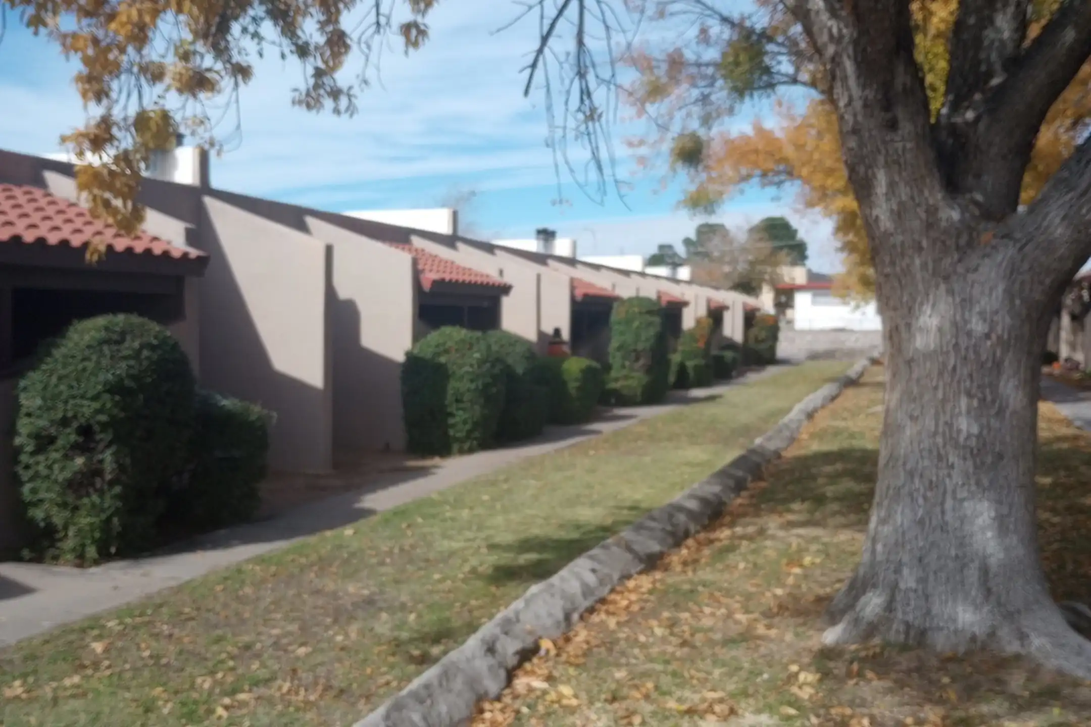 1345 Branson Ave unit 5B - Las Cruces, NM 88001 | ApartmentGuide.com