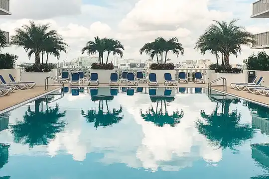 Apartments for Rent in Miami, FL - 8690 Rentals | ApartmentGuide.com
