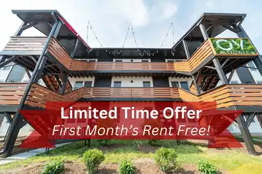 OV Mosaic - Norfolk, VA 23518 | ApartmentGuide.com