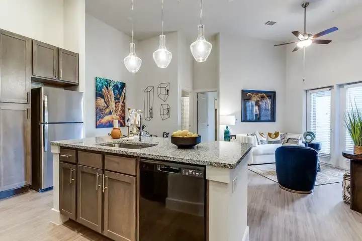 Palladium City Skyline - Fort Worth, TX 76103 | ApartmentGuide.com