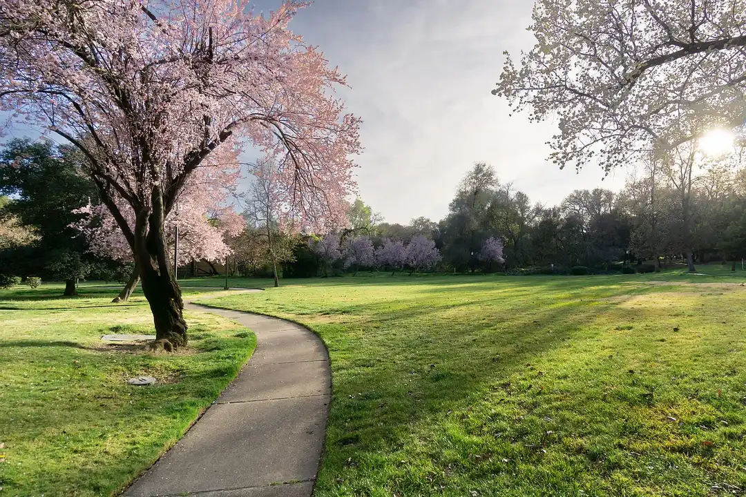 Huntington Square - Citrus Heights, CA 95621 | ApartmentGuide.com