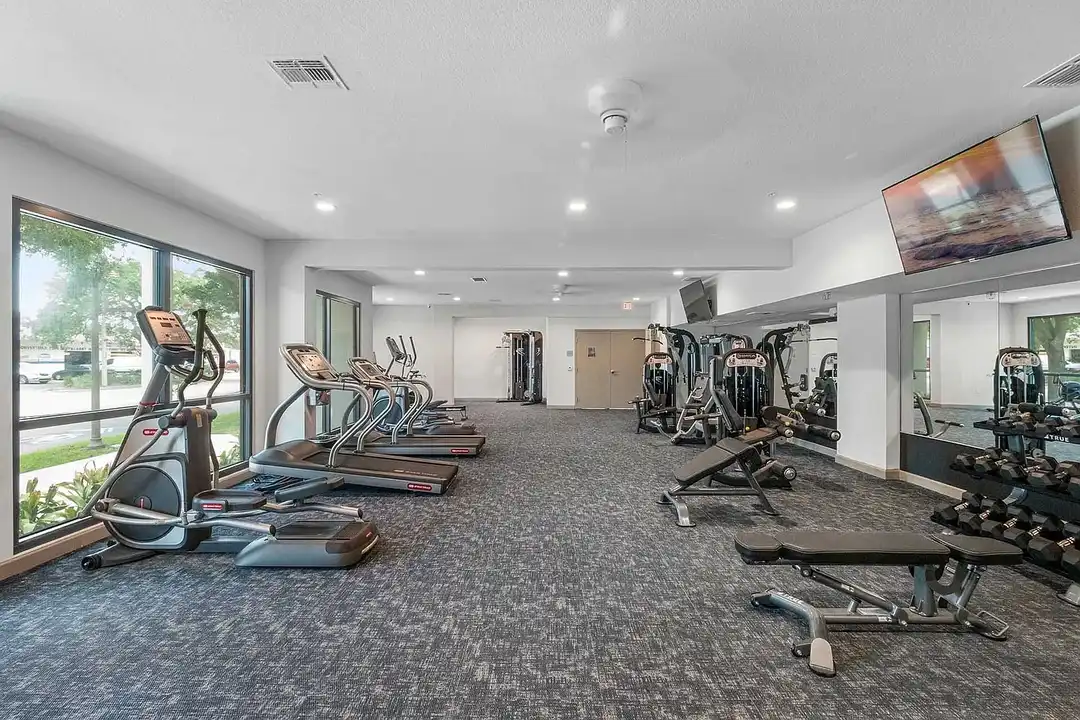 Gallery 3100 - Saint Petersburg, FL 33712 | ApartmentGuide.com